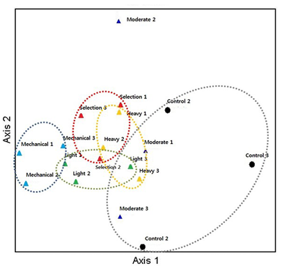 Effects of Thinning Intensity on Ectomycorrhizal Fungal Communities in ...