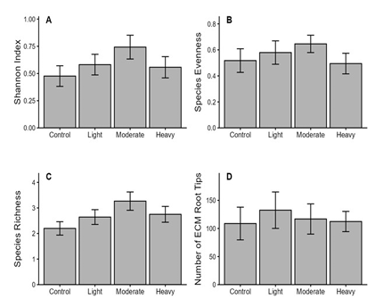 Effects of Thinning Intensity on Ectomycorrhizal Fungal Communities in ...